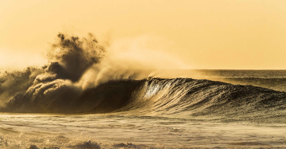 Operation Yellow Tape: Empowering First Responders and Breaking the ...